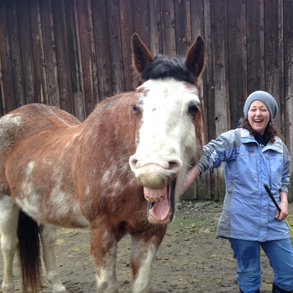 Animal Spotlight: Scout - Sanctuary One